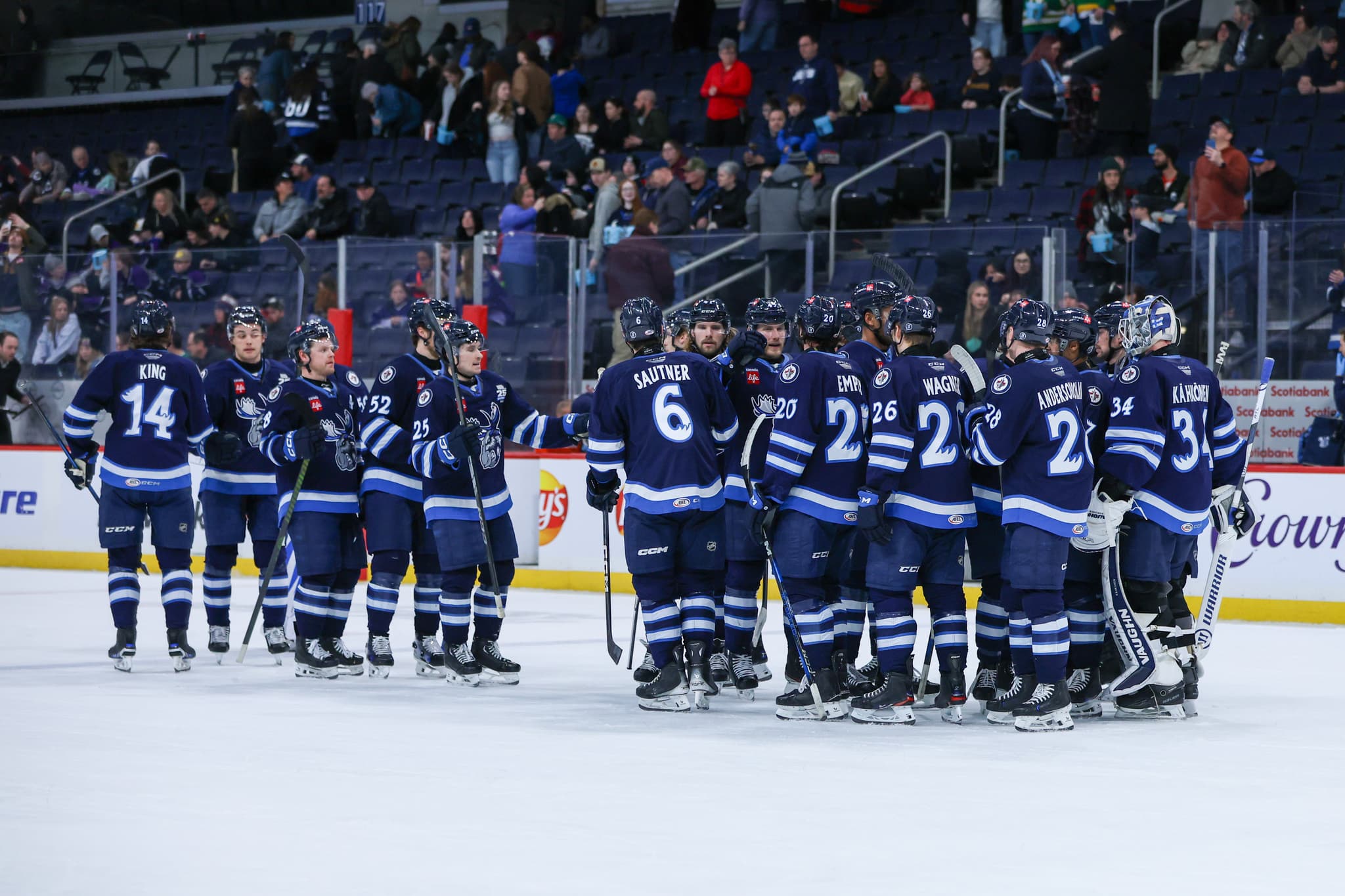 Manitoba Moose News & Updates | GAME ON Hockey